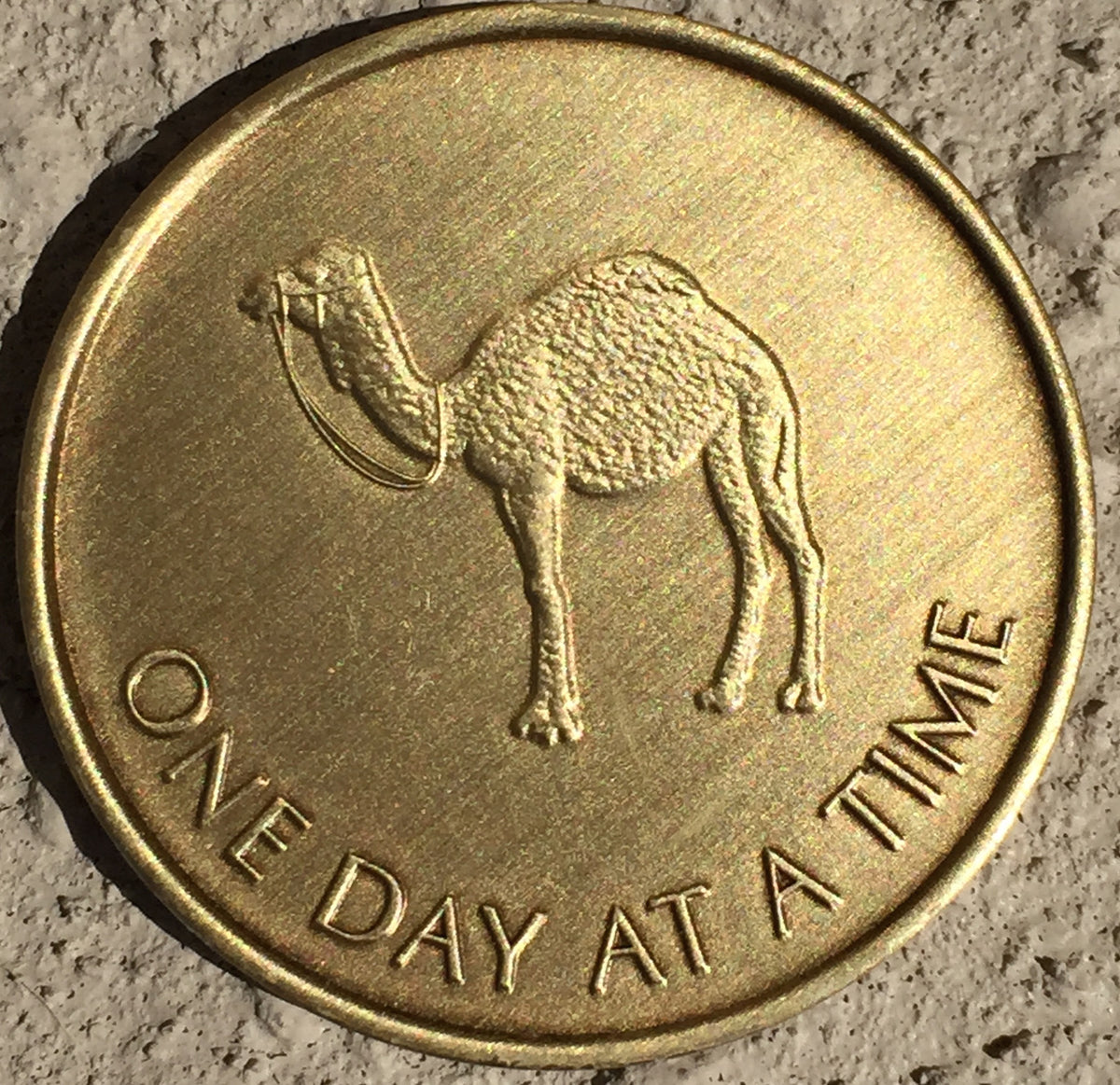 Camel Medallions And KeyChains – Tagged "Coin" – RecoveryChip