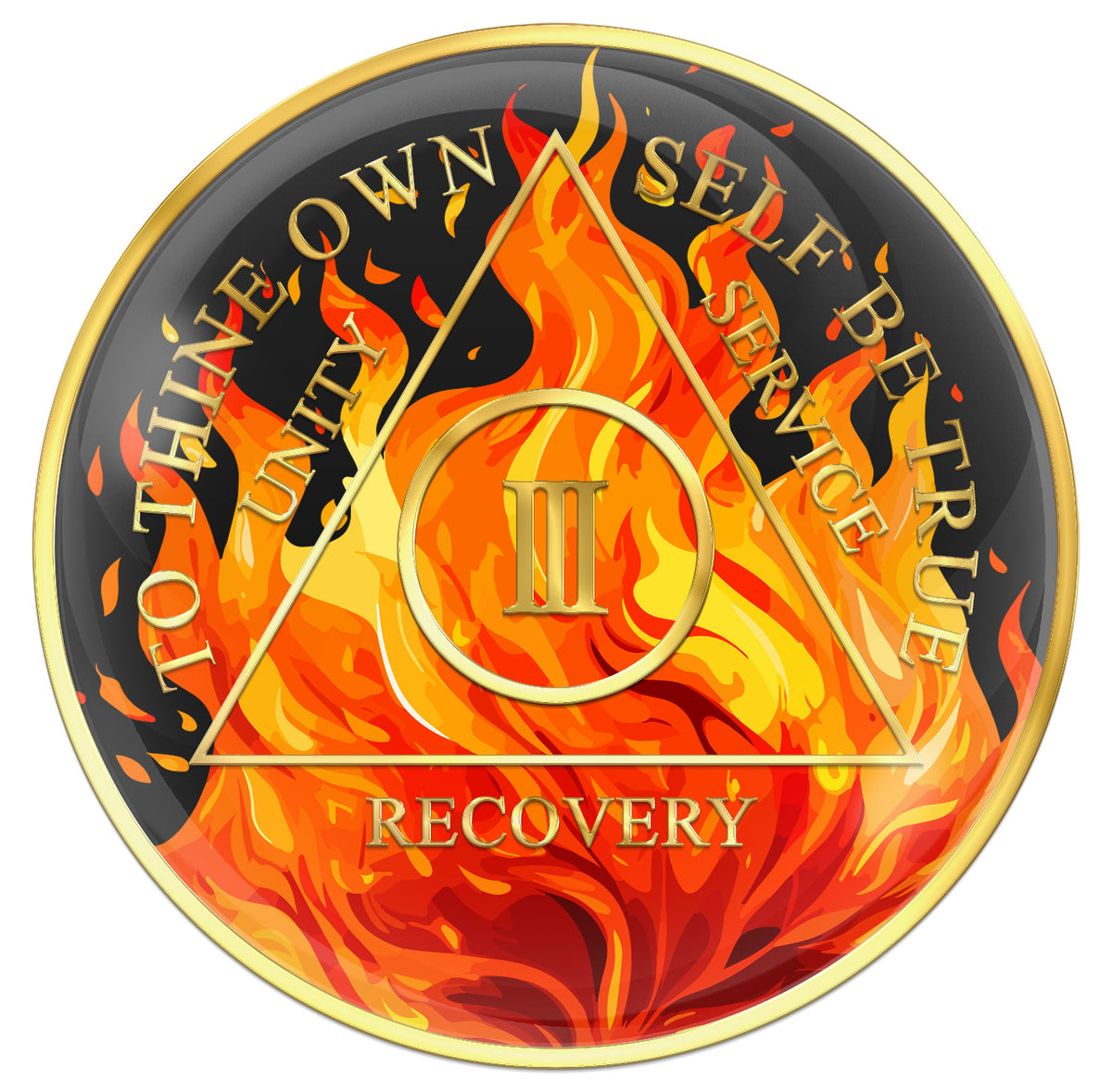 1 - 20 Year AA Medallion Flame Design Sobriety Chip Black Orange Seren ...
