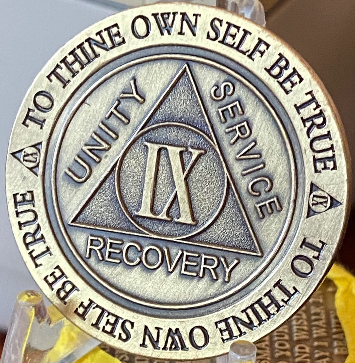 9 Year AA Medallion Trust God Clean House Help Others Doctor Bob Chip ...