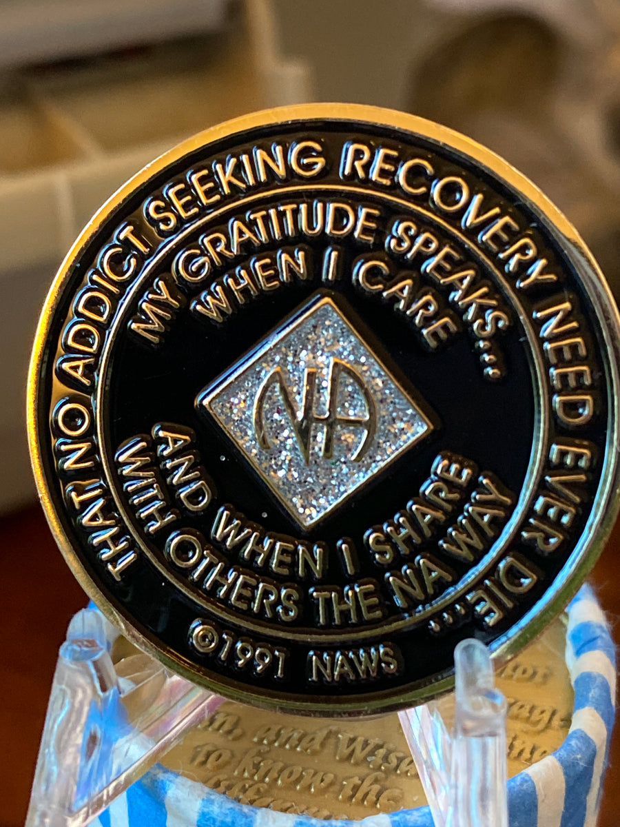 1 Year NA Clean Time Chip Blue Silver Glitter Narcotics Anonymous Meda ...