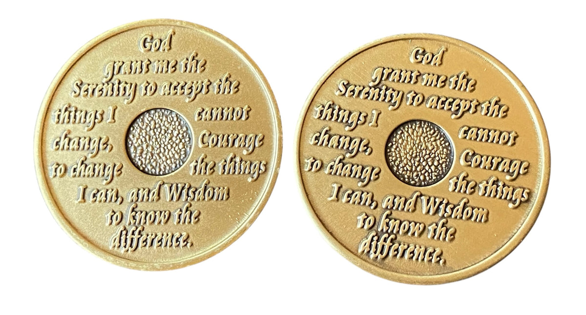10 Month 11 Month Bronze AA Medallion Set of 2 Coins Serenity Prayer C ...