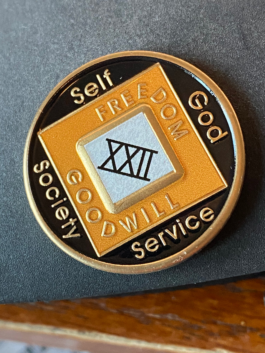 22 Year NA Clean Time Chip Orange Black Sobriety Medallion Official Na ...