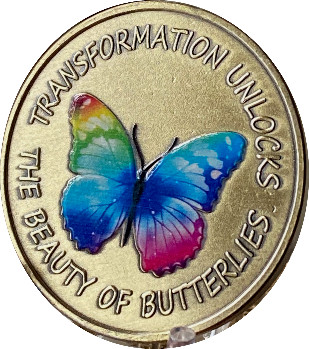 Transformation Unlocks The Beauty Of Butterflies Rainbow Butterfly Ser ...
