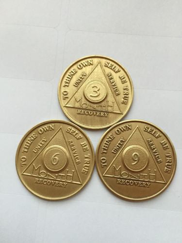 AA Medallion Chip Set 3 6 9 Months Coin Coins 90 Days – RecoveryChip