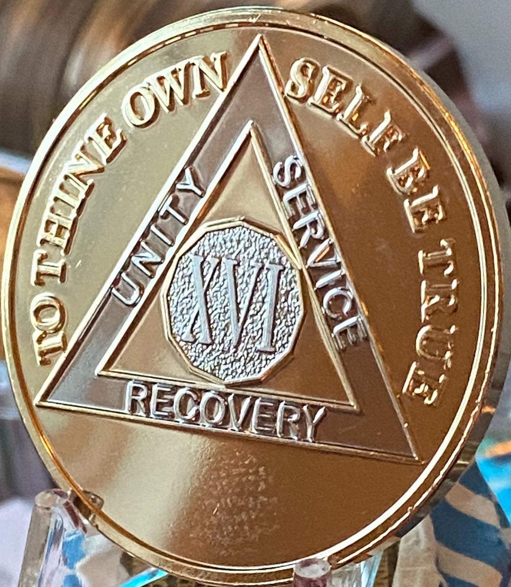 16 Year AA Medallion 1.5" Large Challenge Coin Premium 22k Gold Plated ...