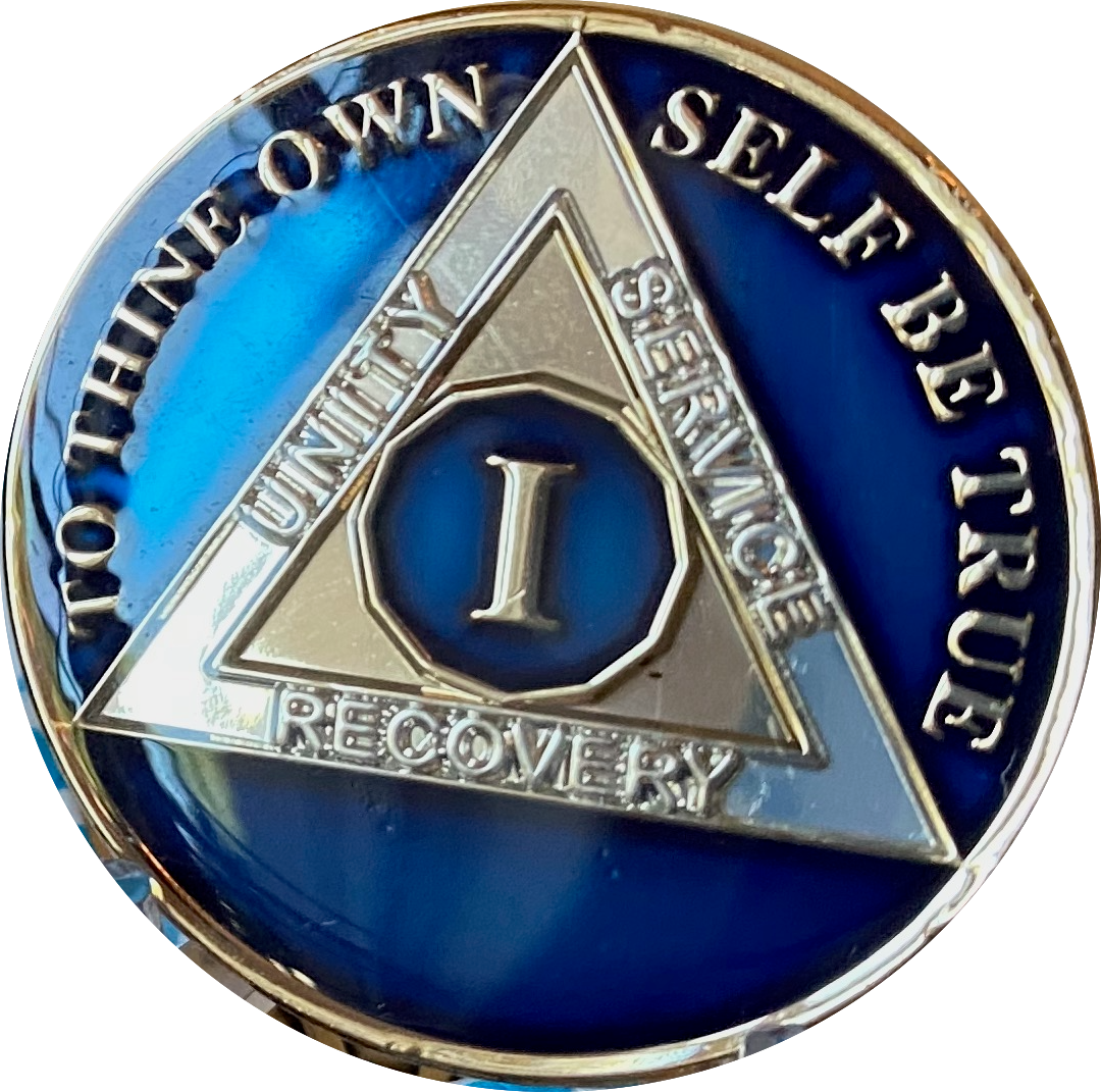 1 Year AA Medallion Chips – RecoveryChip
