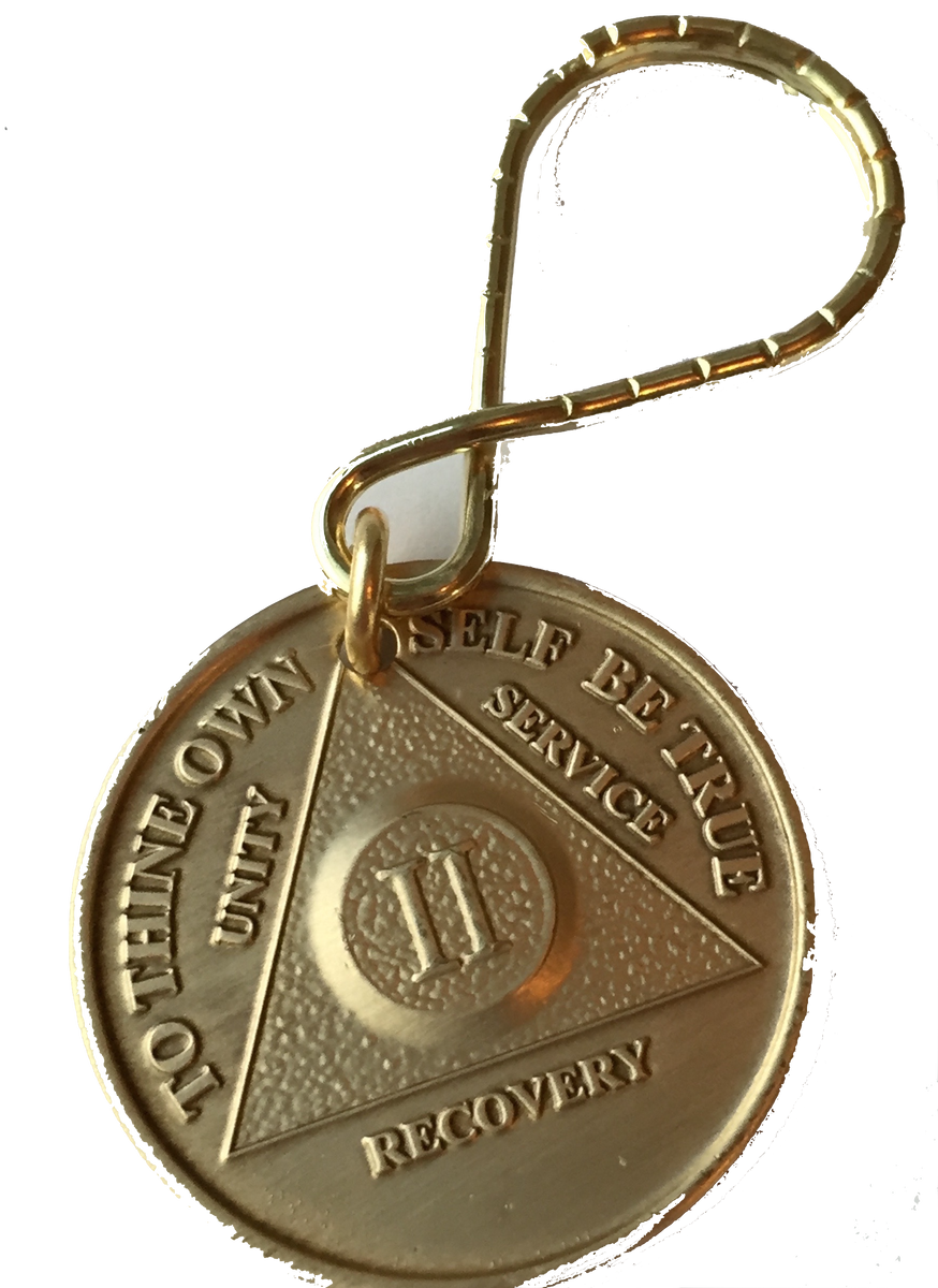 AA Medallion Keytag Bronze Anniversary Keychain Year 1 - 65 – RecoveryChip