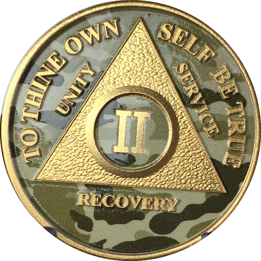 Camo & Gold Plated Any Year 1 - 65 AA Chip Alcoholics – RecoveryChip