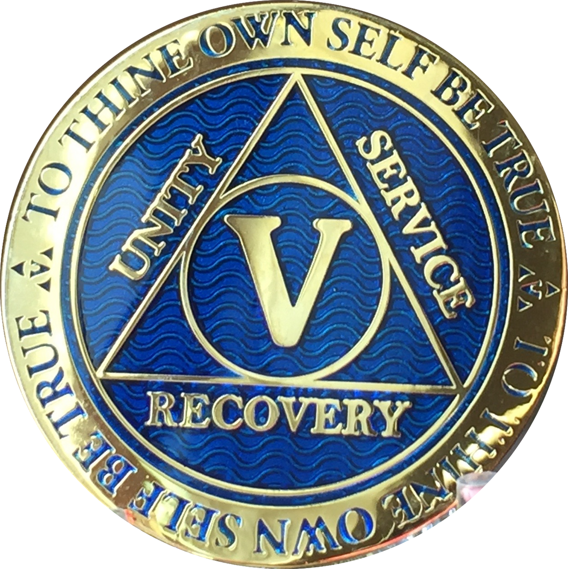 1 Year AA Medallion Chips – RecoveryChip