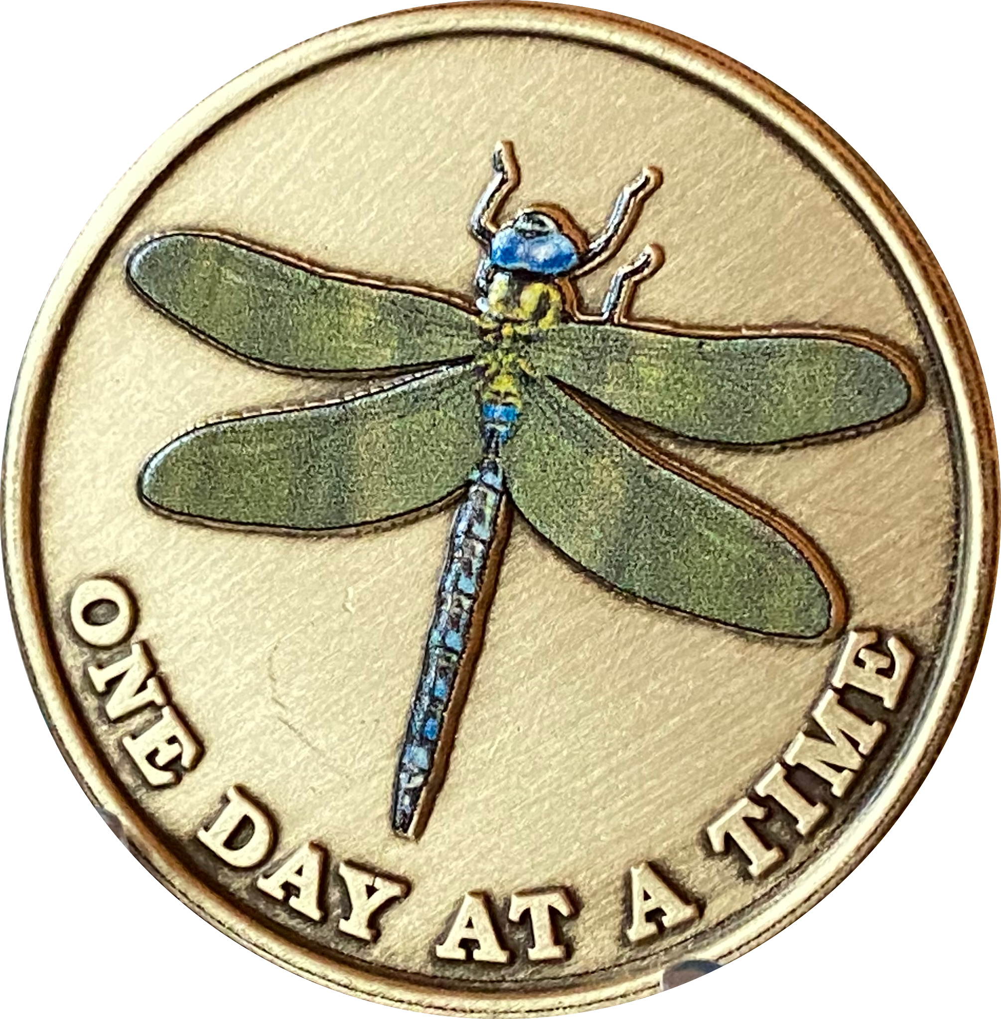 dragonfly badges