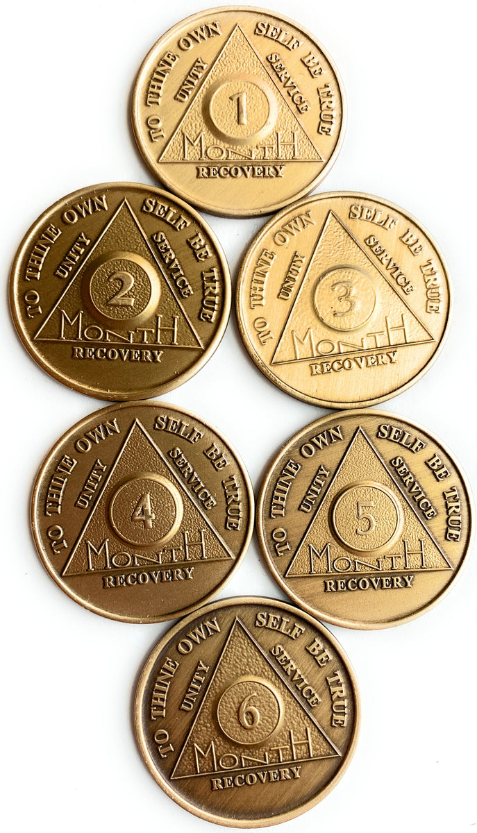 Set of 6 AA Month Medallions Months 1 2 3 4 5 6 Bronze Anniversary Sob ...