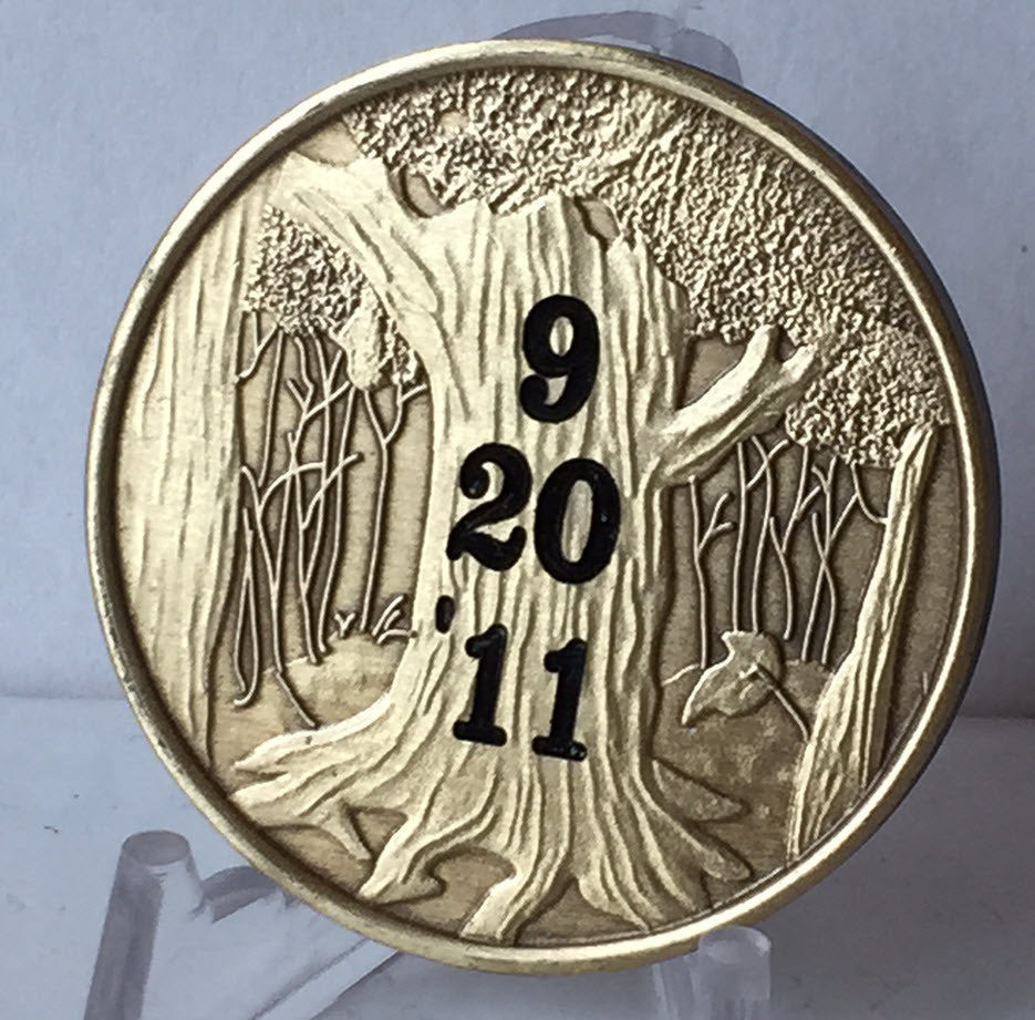 Personalized Engraved Sobriety Medallion Coin Sober Date AA NA Bronze ...
