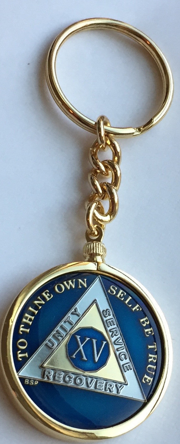 AA Medallions For Sale Bronze Color Sobriety Chips Bulk Coins Holder ...