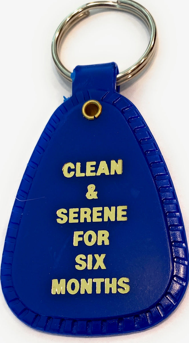 6 Month NA Keytag Blue Narcotics Anonymous Keychain Clean & Serene ...