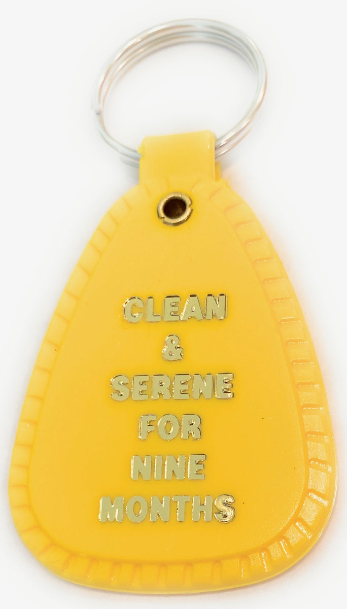 9 Month NA Keytag Yellow Narcotics Anonymous Keychain Clean & Serene ...